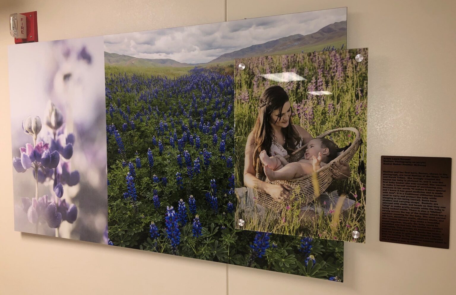 Better the Birthing Experience for Native Parents — WithIn Collaborative